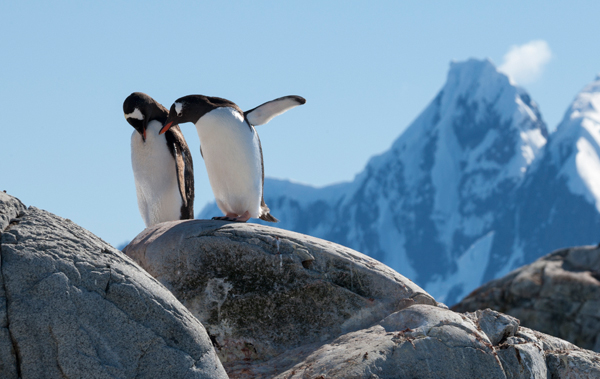 Restoring People and Places | Christian Conservation | A Rocha USA