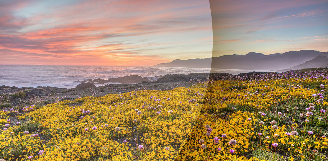 Restoring People and Places | Christian Conservation | A Rocha USA