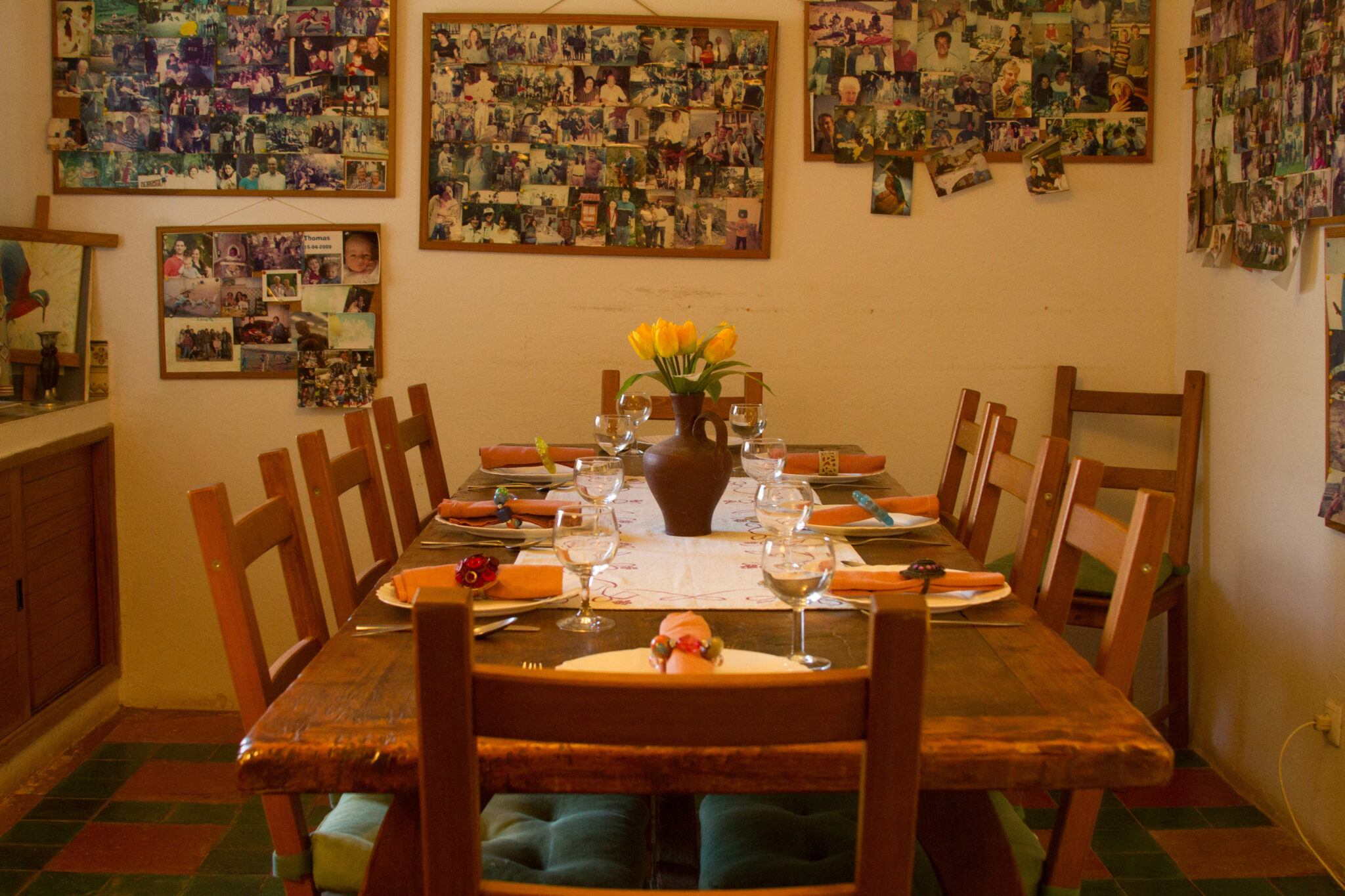 Celebrating 40 Years of Creation Care: A Rocha’s Journey from Cruzinha ...