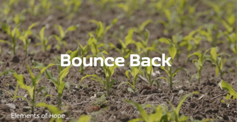 Restoring People and Places | Biodiversity Conservation | A Rocha USA