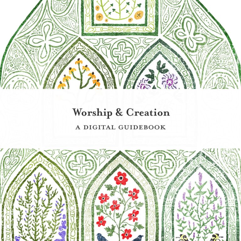 A Rocha USA - Living God's Call to Care for Creation