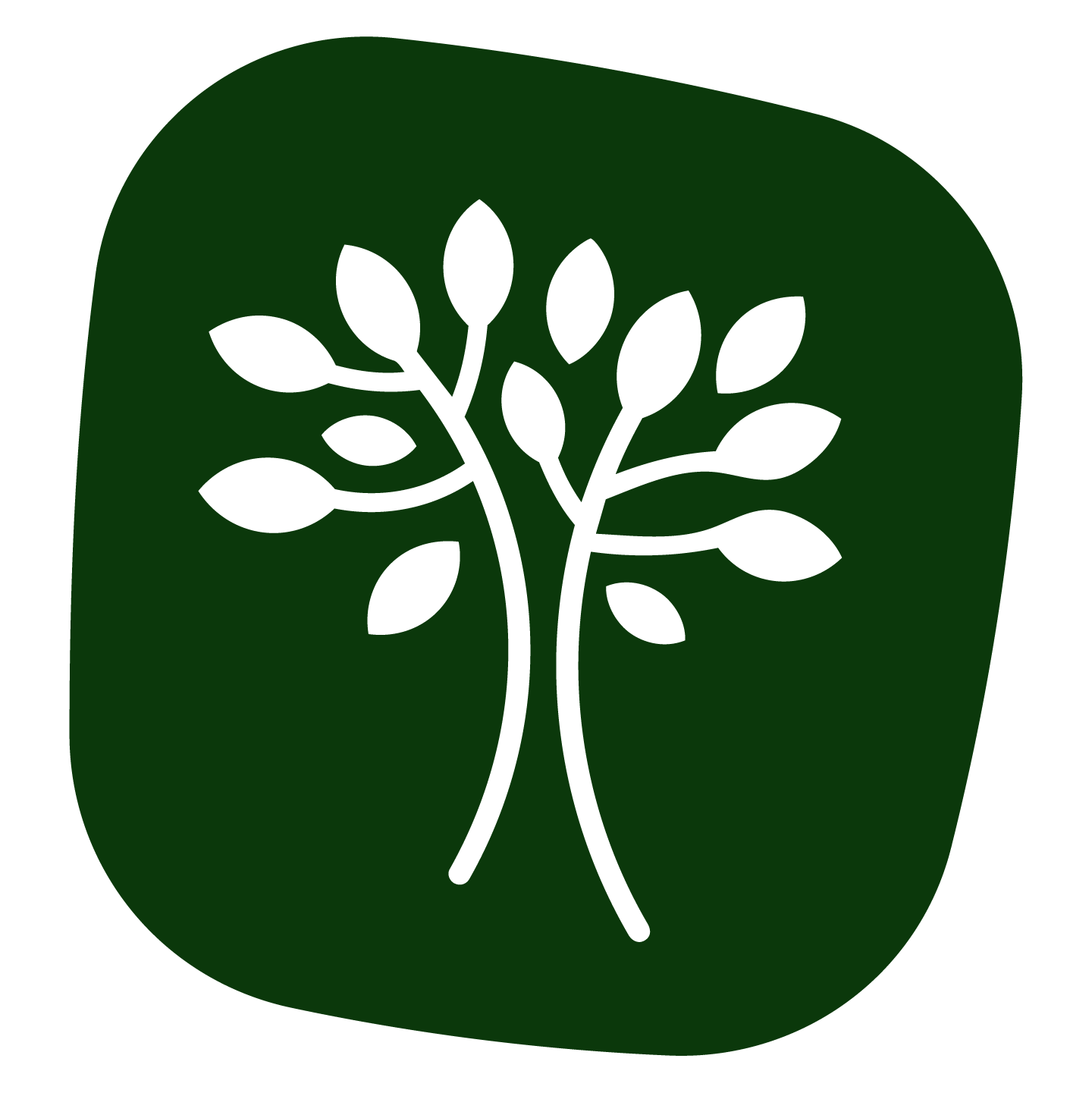 Branches of Faith - A Rocha USA