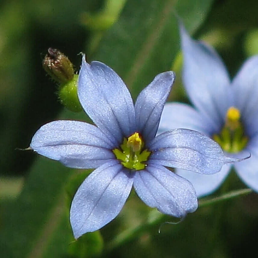 Fostering Belonging in the Texas Hill Country: Q&A with Environmental ...